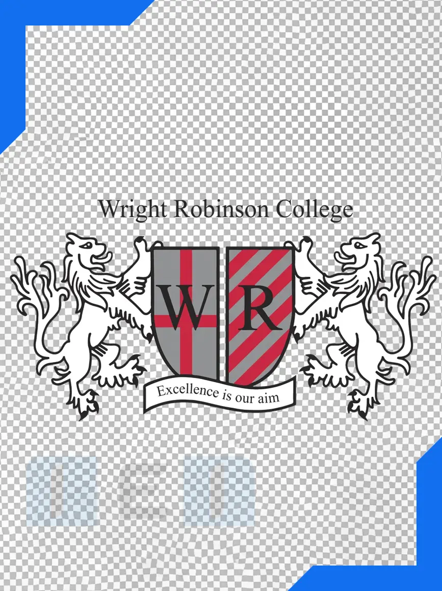 Vector Conversion Services - Transform Your Images Efficiently
