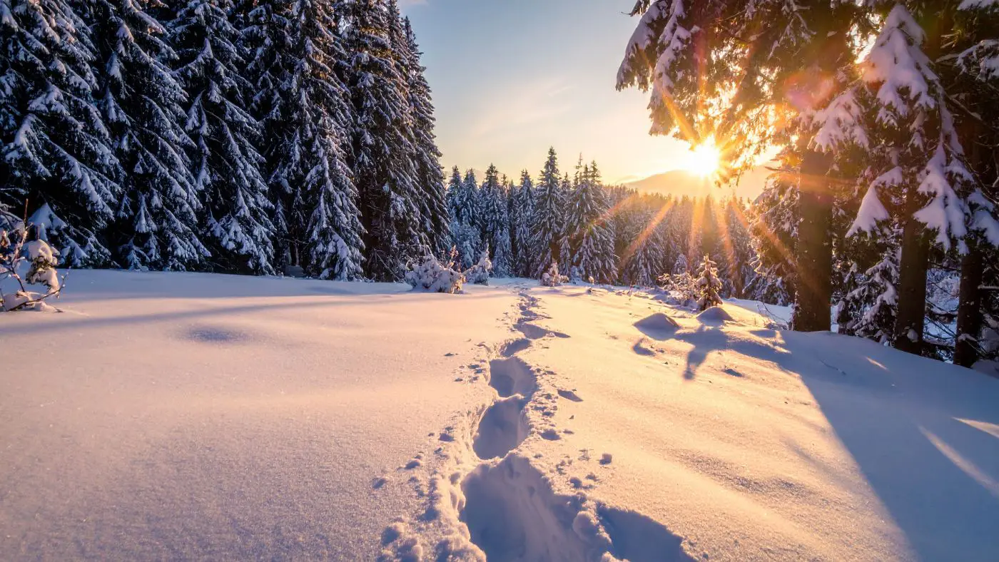 When is Golden Hour Photography: Tips, Settings and Examples